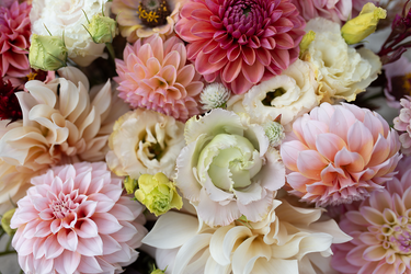 Fleurelle Flower Farm