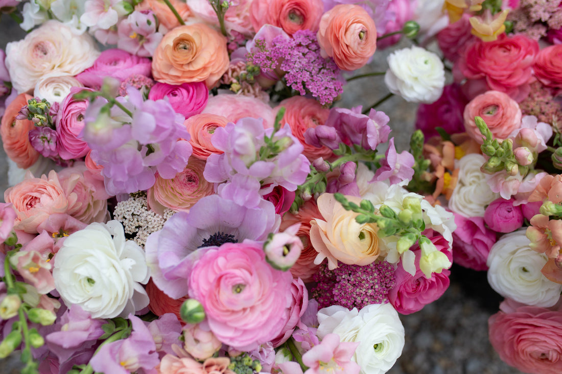 Fleurelle Flower Farm